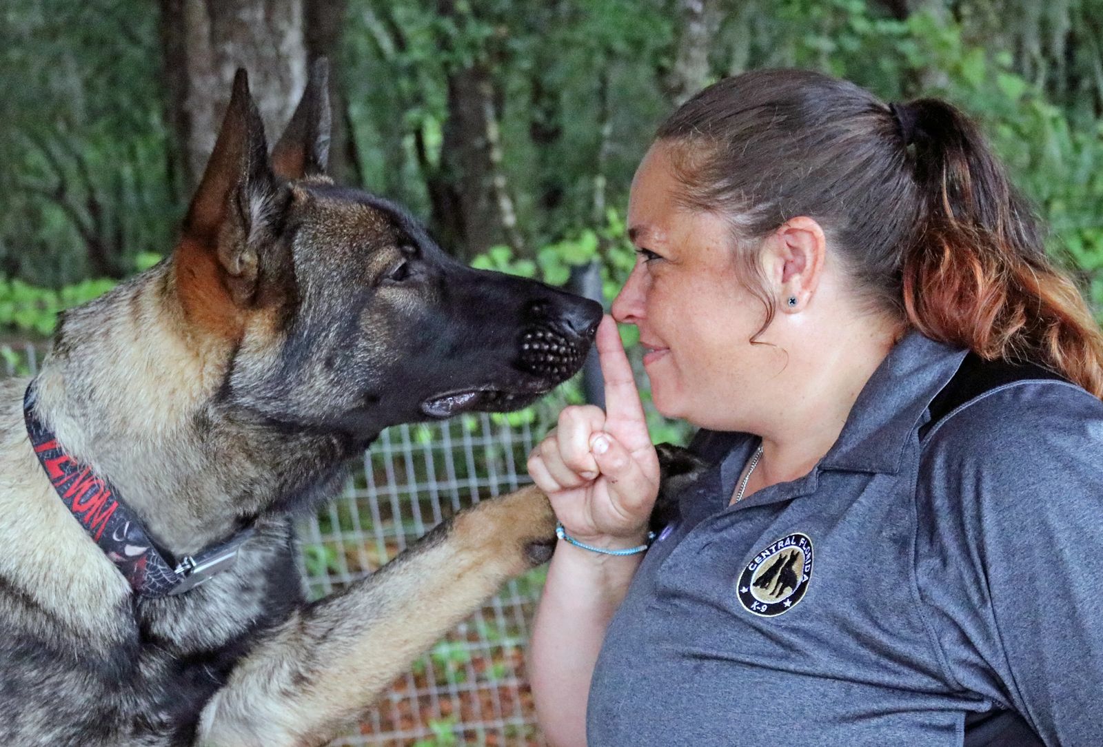 About | Central Florida K-9