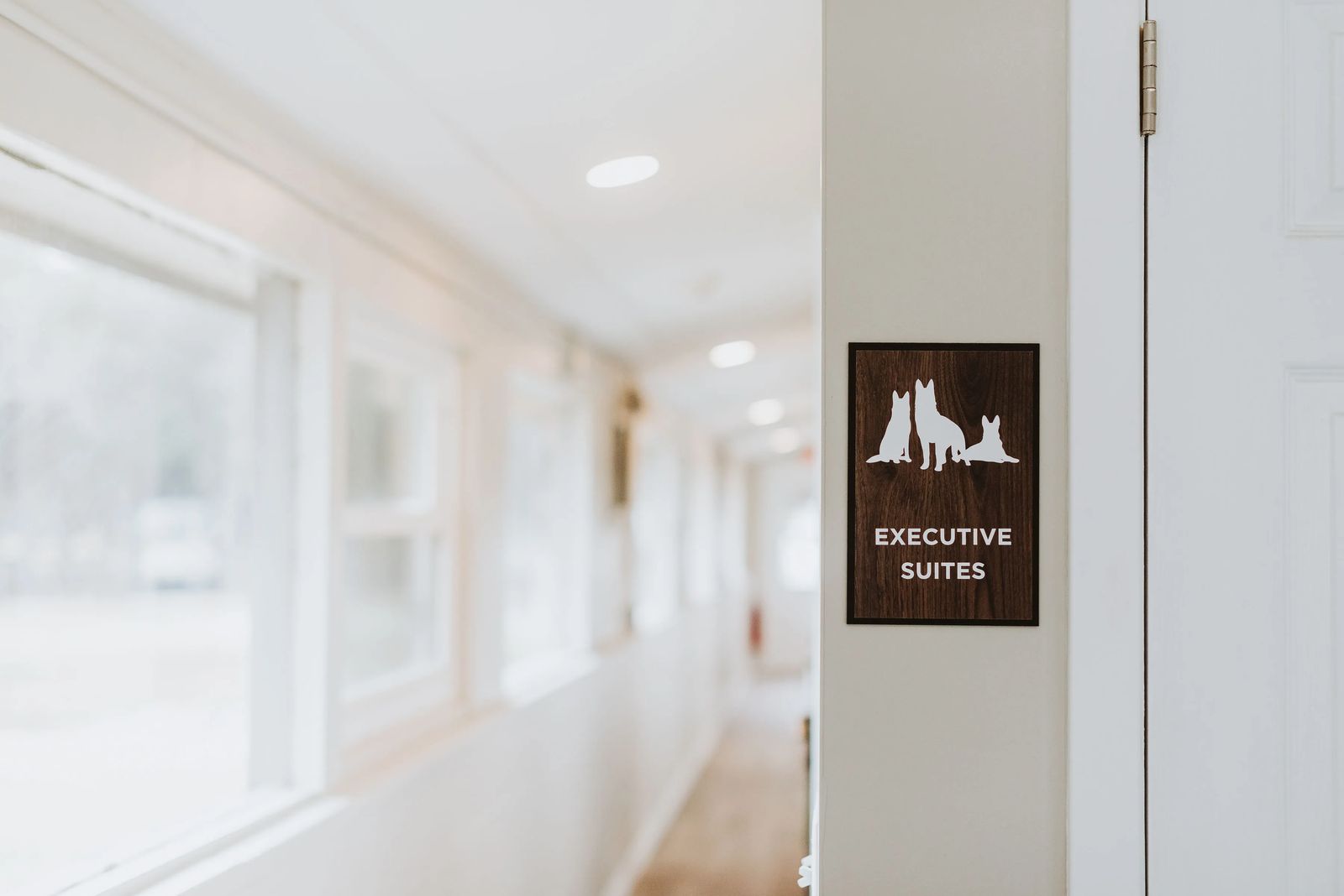 Boarding/Kennel Services