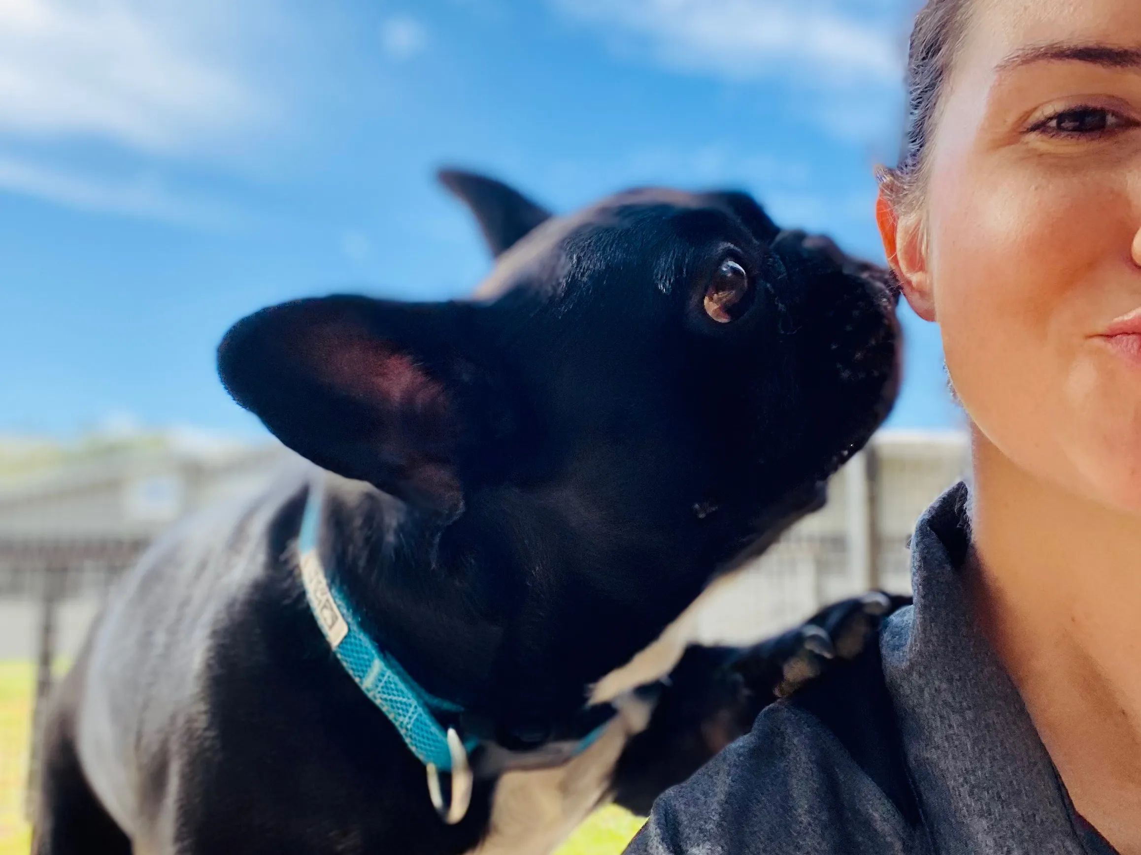 Boarding/Kennel Services